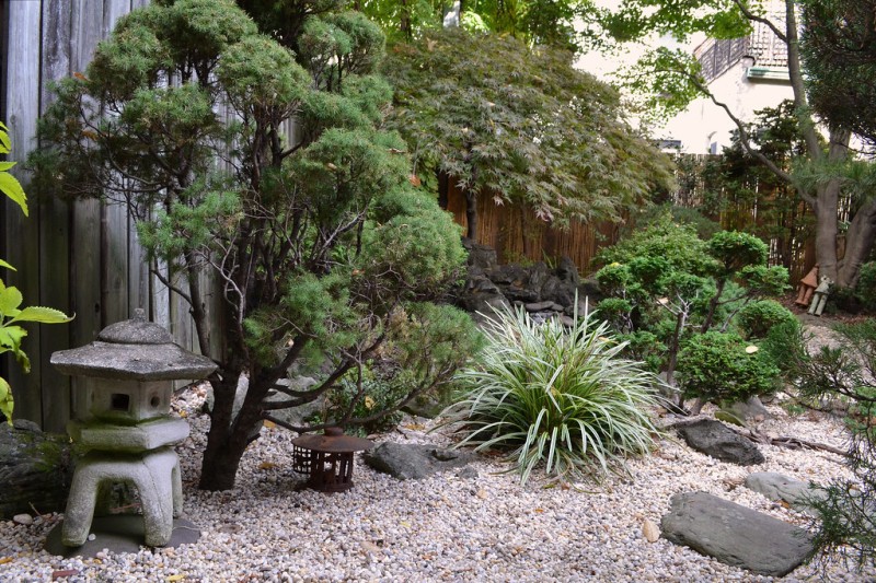 Backyard Japanese Garden
